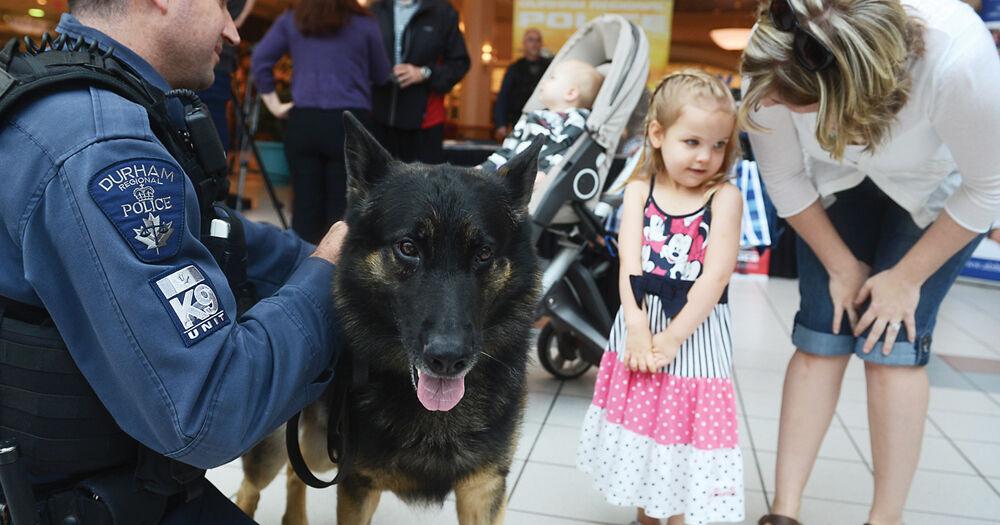 Durham police service dogs become calendar canines