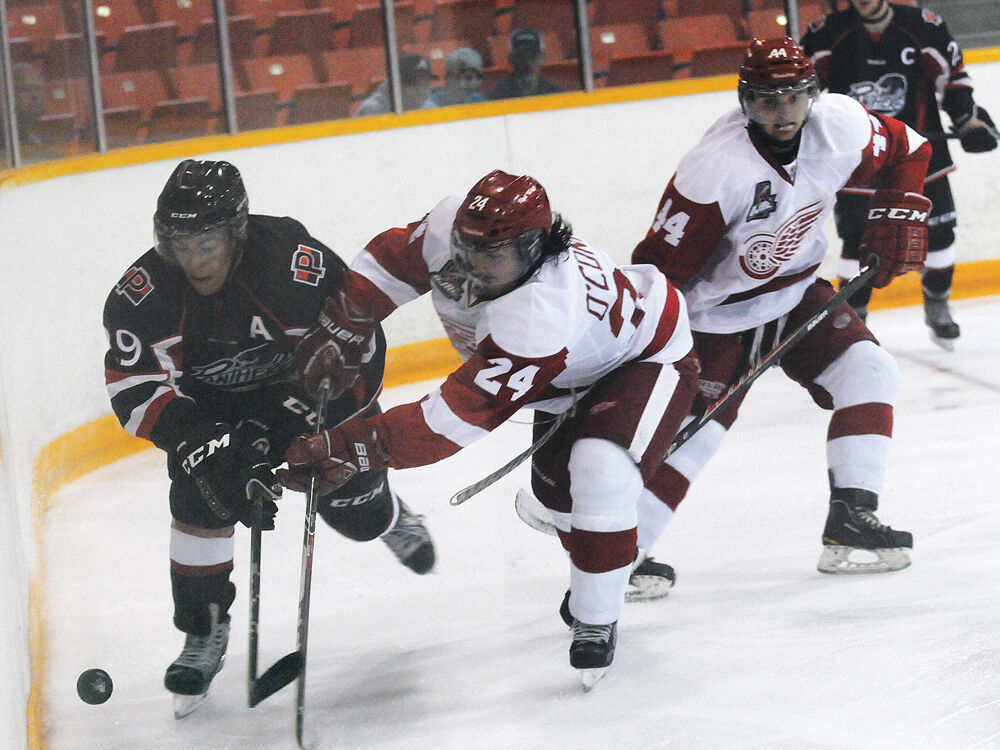 Pickering Panthers open season with weekend split