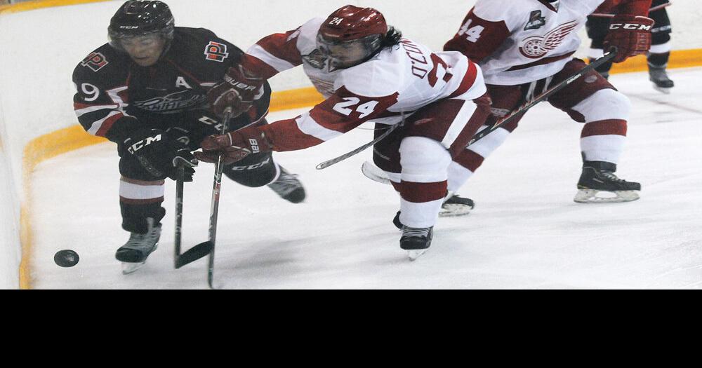 Pickering Panthers open season with weekend split