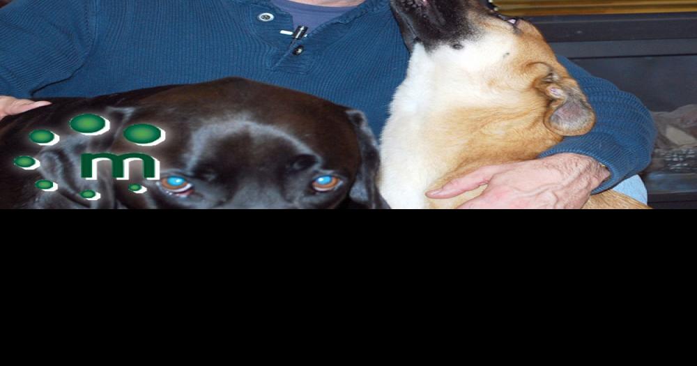 Five great Christmas movies with Neil Crone