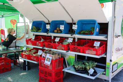 TNDF sets up mobile indoor market at Manilla Hall