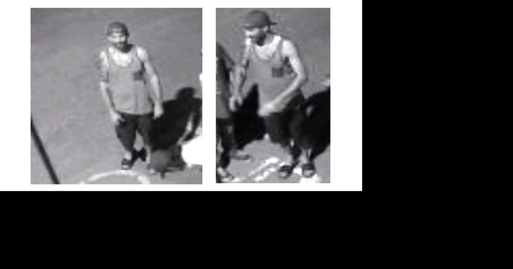 Suspect sought in assault at Beaverton Harbour