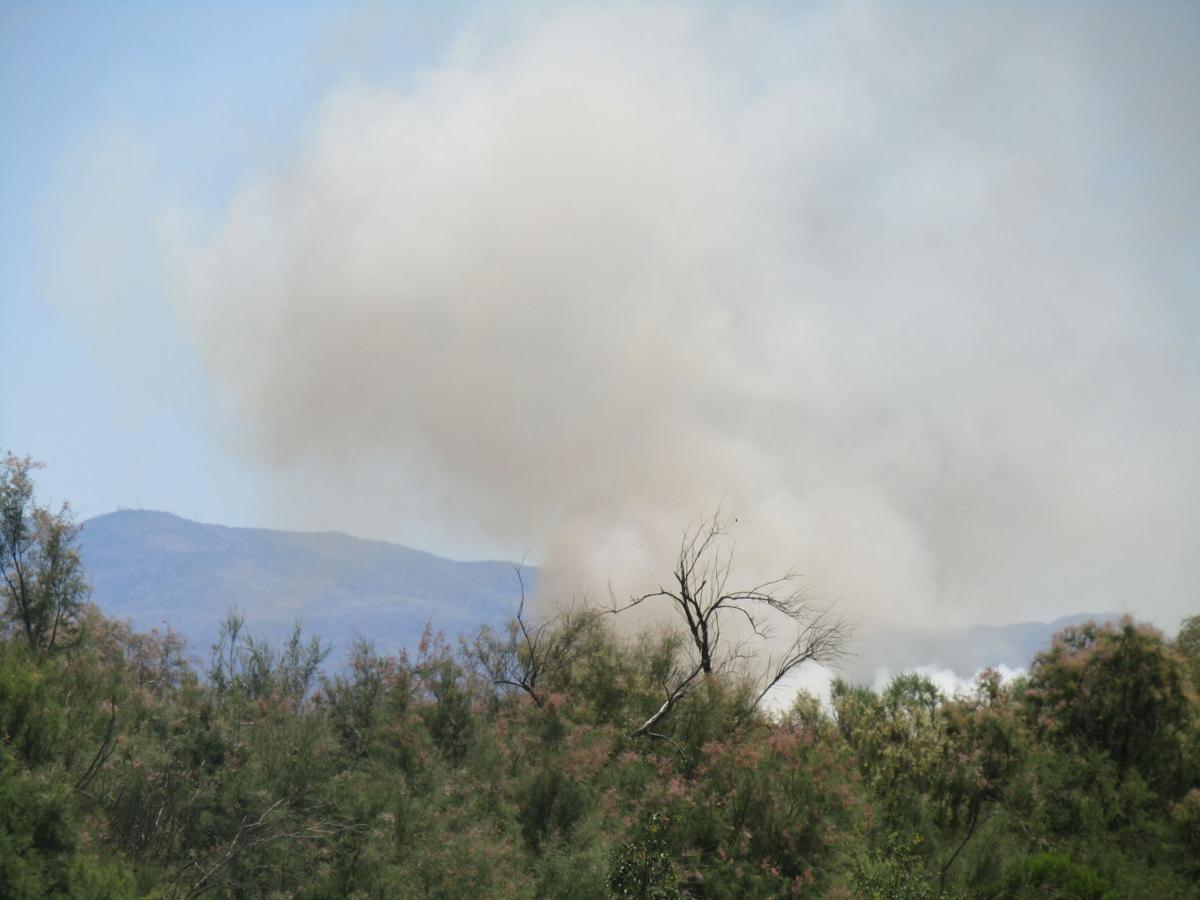 Gila River hit by another brushfire | Local News Stories | eacourier.com