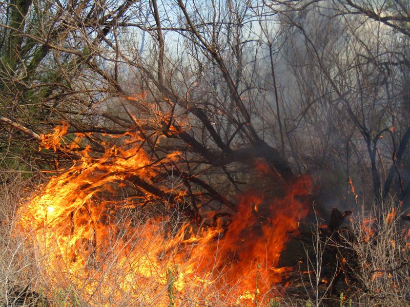 Desert wildfire burns in Gila River area | Local News Stories ...