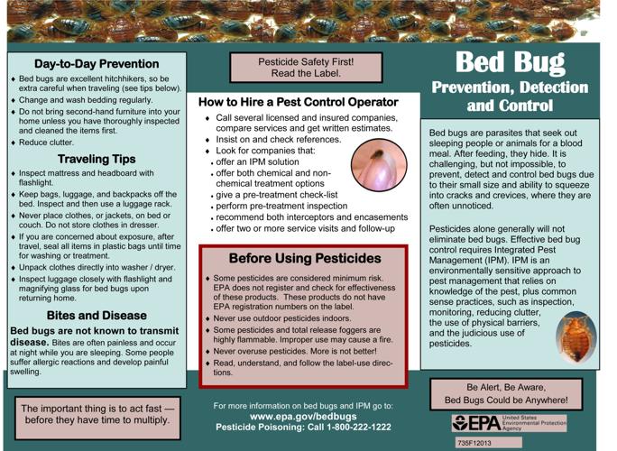 Bed bugs invade Graham County Jail | Local News | eacourier.com