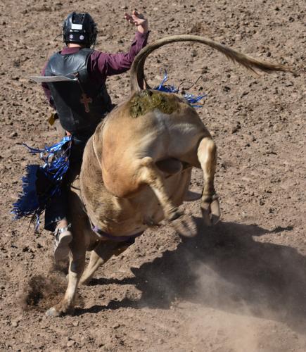 Rodeo’s rough reality: Inside America’s most dangerous sport as ...
