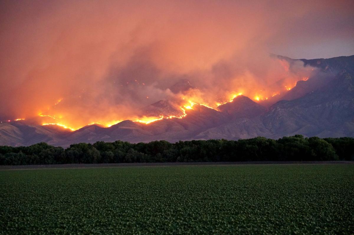 Southeastern Arizona fire season goes wild | Local News | eacourier.com