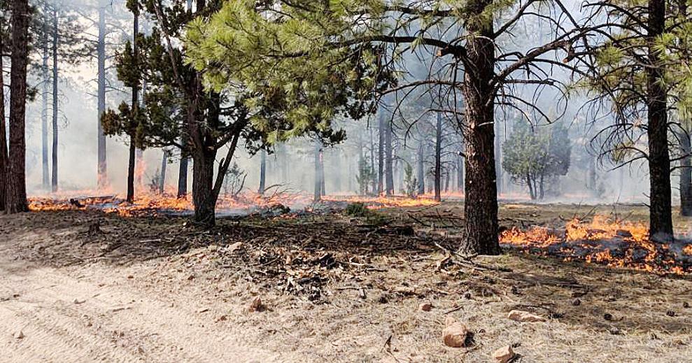 Hoyle fire fully contained | News | eacourier.com