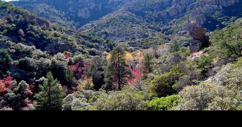 Prescribed burns in Coronado National Forest to begin mid-October ...