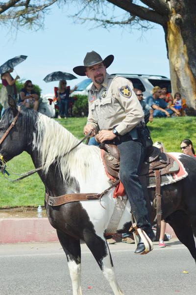 Sheriff Sumner named in grievance for harassment, speeding | News ...