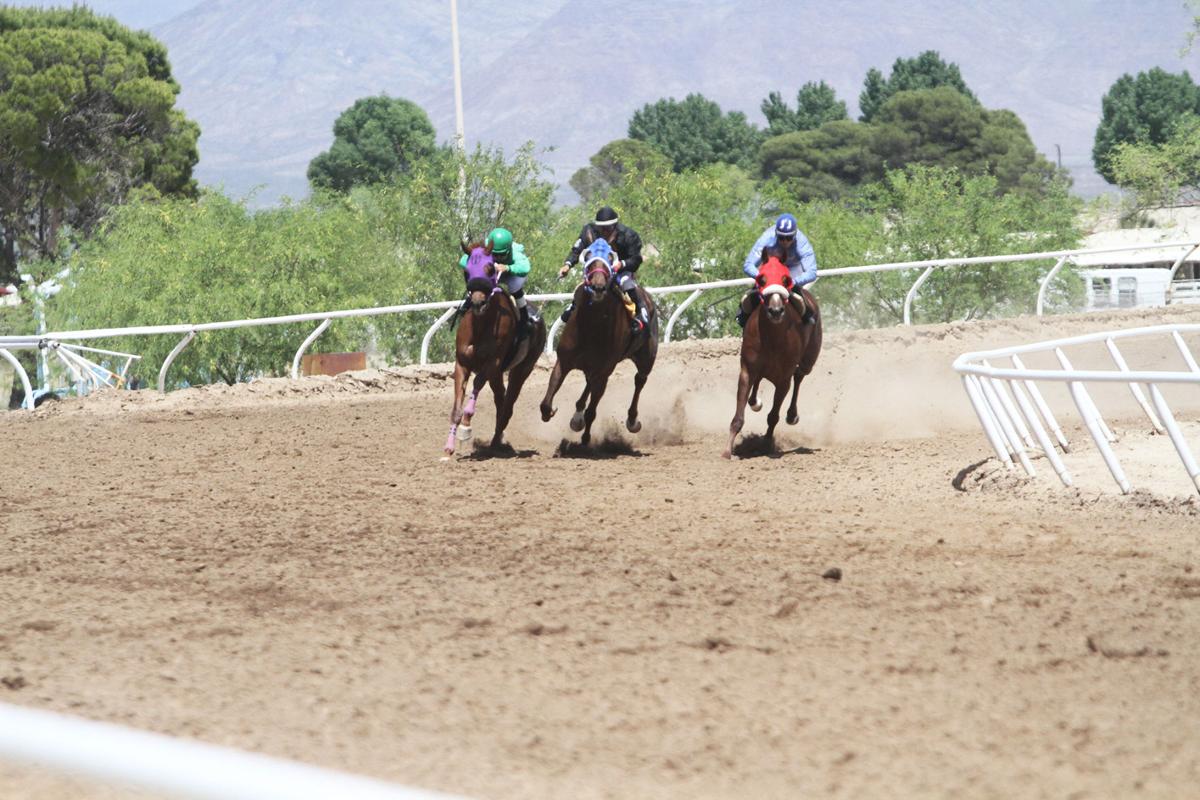 Here they come, spinning out of the turn — Horse racing makes ...