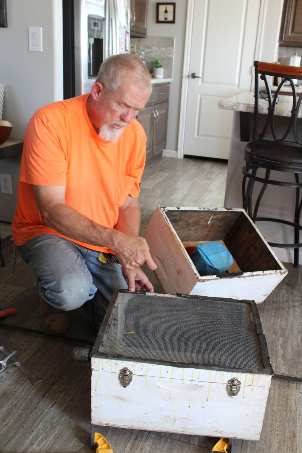 Bee relief: Steven and Melissa Green have turned their knowledge and ...