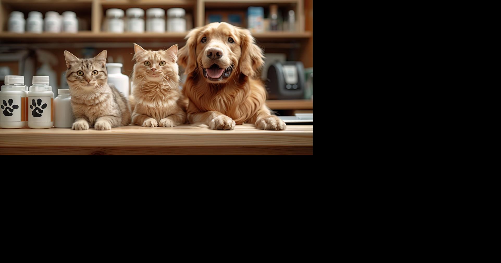 Considerations when purchasing pet medications | Pets | eacourier.com
