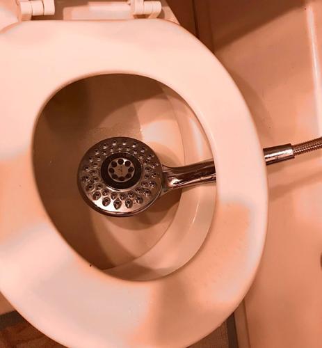 Love, loss, and the year of the bidet | Editorials | eacourier.com