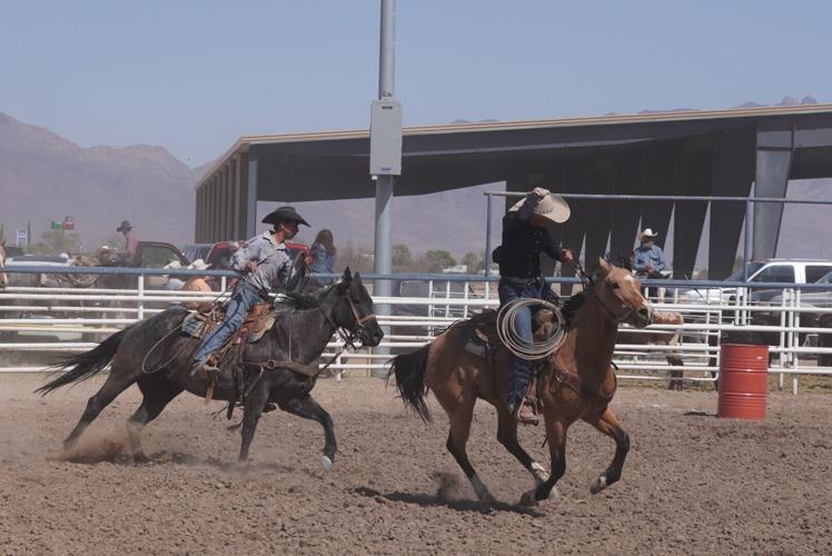 Rodeo’s rough reality: Inside America’s most dangerous sport as ...