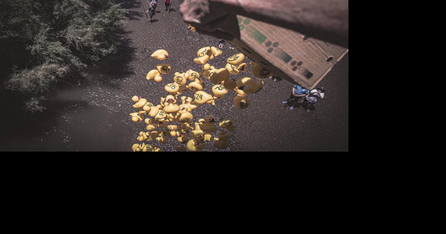 Big Quack duck race winners announced | Copper Era | eacourier.com