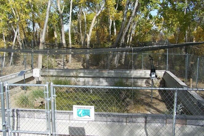 EAC likely to have second frog nursery completed in August | Copper Era ...