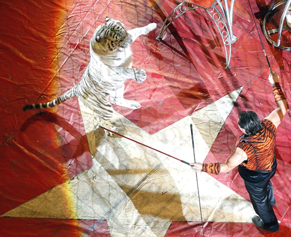 Jordan Circus hits Safford today | Local News | eacourier.com