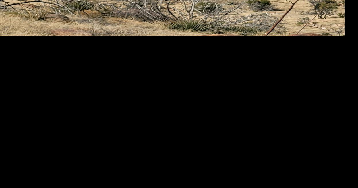 Wildfire on Mount Graham contained | Local News | eacourier.com