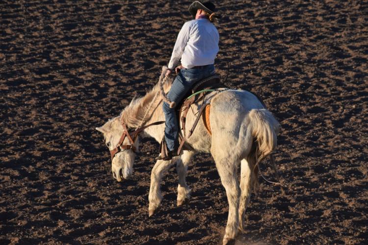 Rodeo bronc riders test their limits | Featured | eacourier.com
