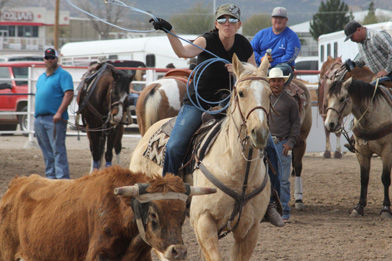 Quickest out of the chute | Local News Stories | eacourier.com