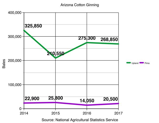 Cotton ginned in Arizona holds steady | Local News Stories | eacourier.com