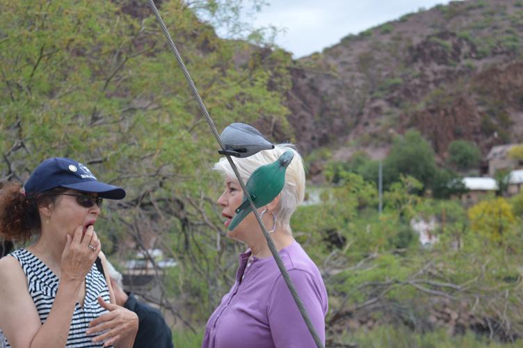 Birding is open for business in Greenlee County | News | eacourier.com