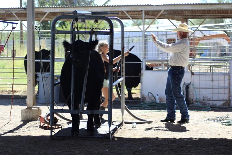 Saturday at the Greenlee County Fair | Complimentary | eacourier.com