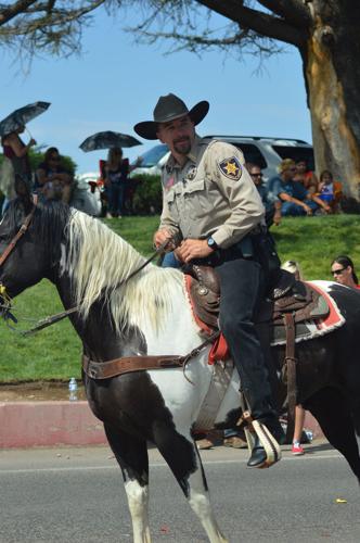 Greenlee Sheriff's Office releases 2Q statistics | News | eacourier.com