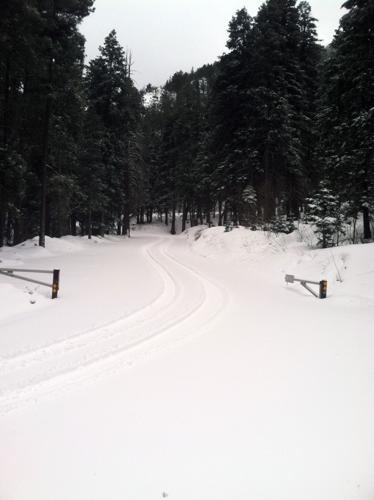 February comes in like a lion | Local News | eacourier.com