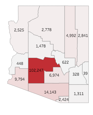 Arizona surpasses 3,000 COVID-19 deaths | Coronavirus | eacourier.com