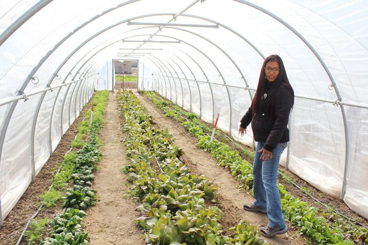 Our Neighbor’s Farm and Pantry in need | Local News | eacourier.com