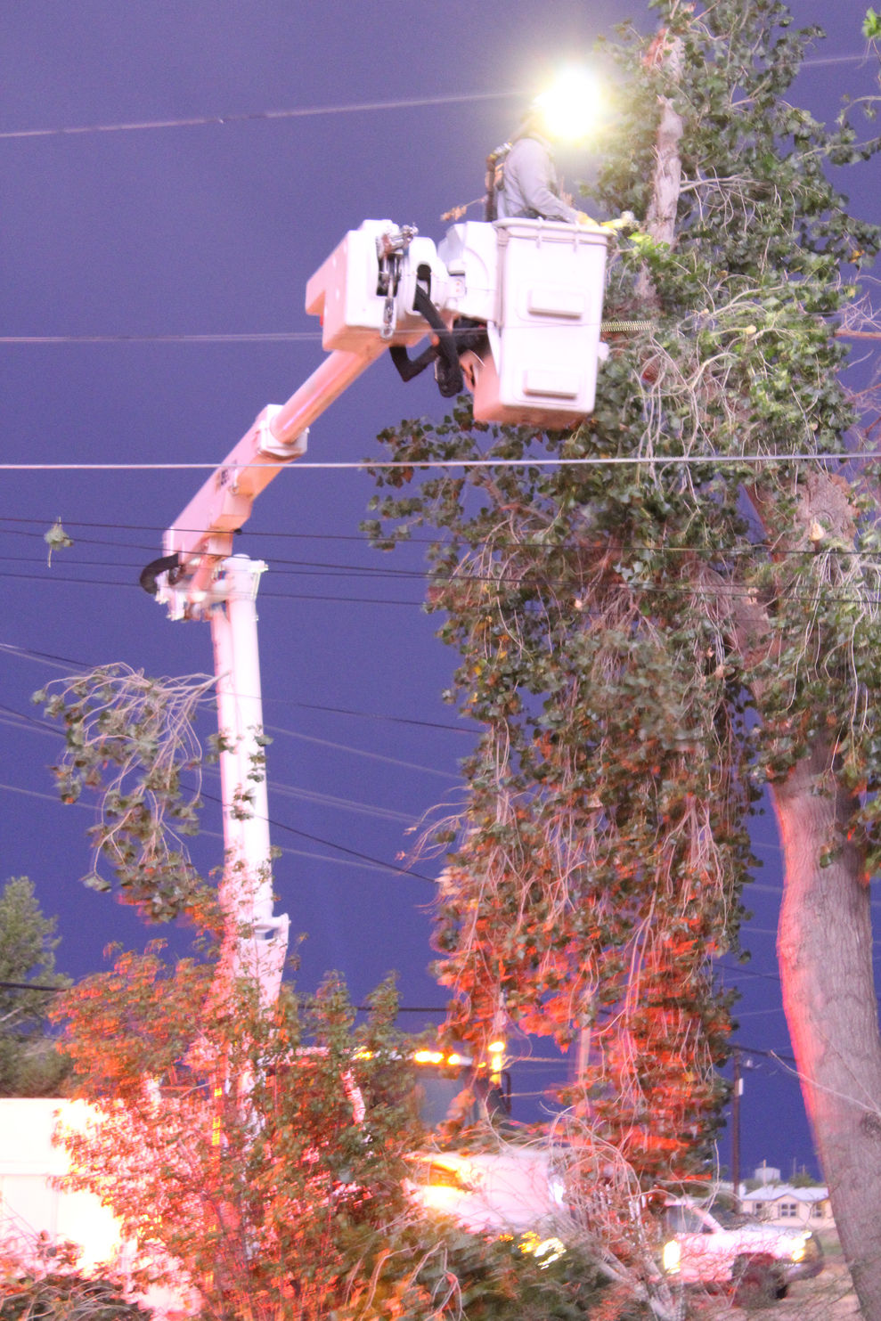 Wind blows tree into power line | Local News Stories | eacourier.com