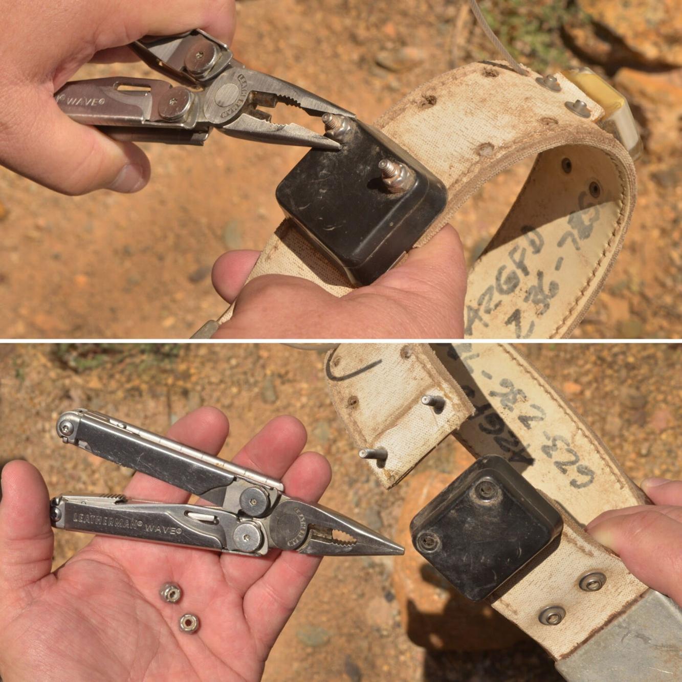 Hunters asked to return tracking collars | State | eacourier.com