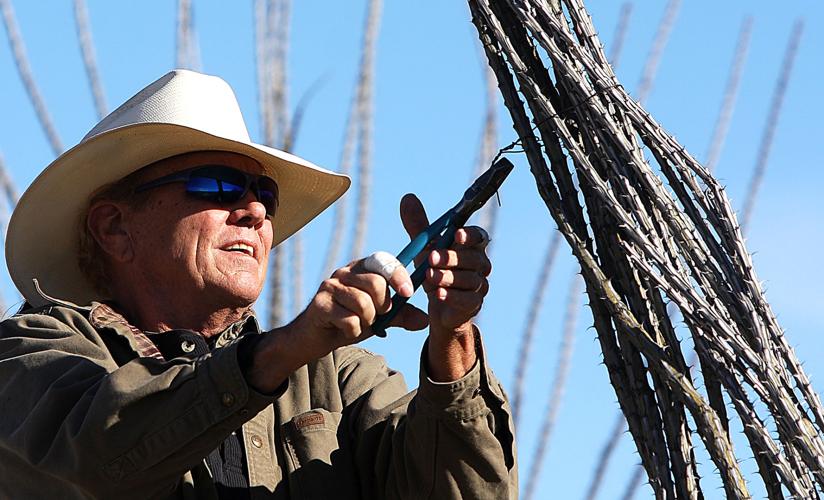 Meet Bruce Hart, ‘cacti wrangler extraordinaire’ | Local News ...