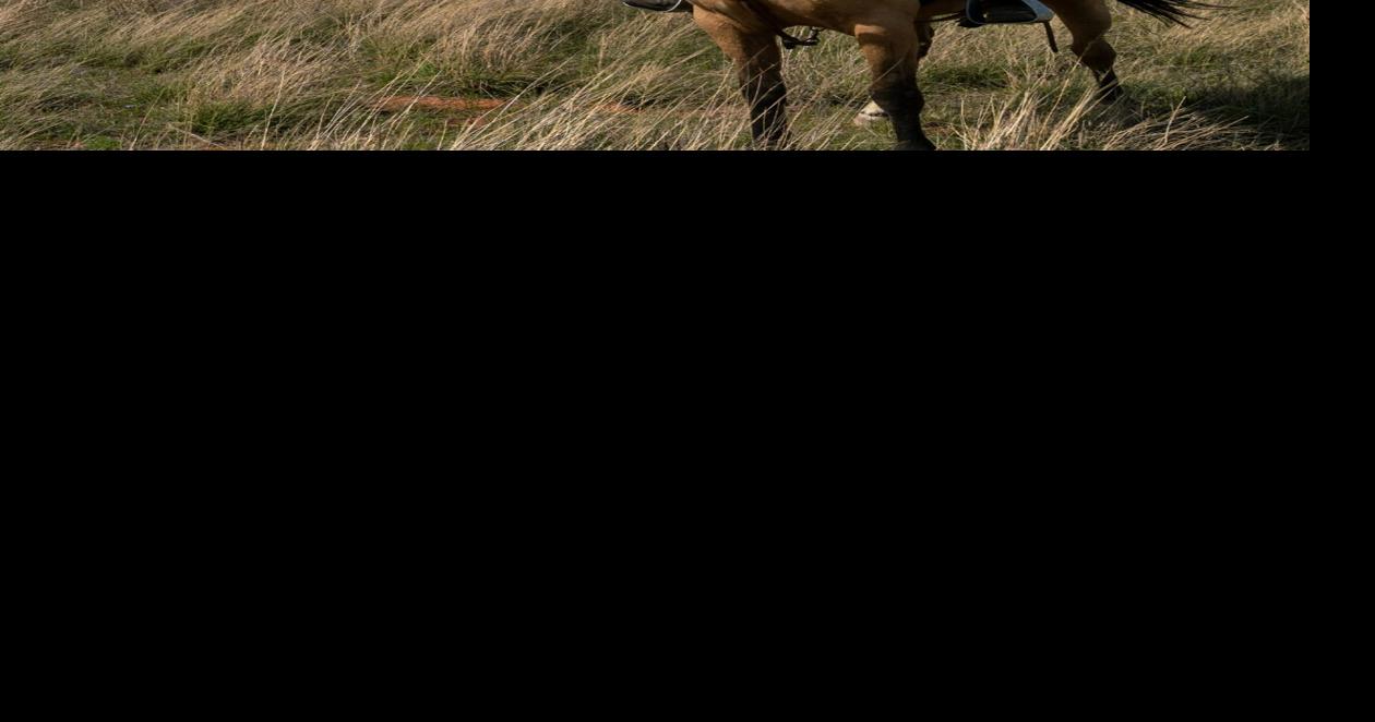 CBP increases recruitment incentive for new BP agents | Complimentary ...