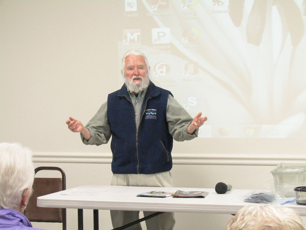 Tastes of the sea come to Safford Library | Local News | eacourier.com