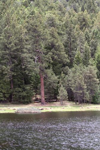 Riggs Lake: Mt. Graham’s watery crown jewel | Local Sports News ...