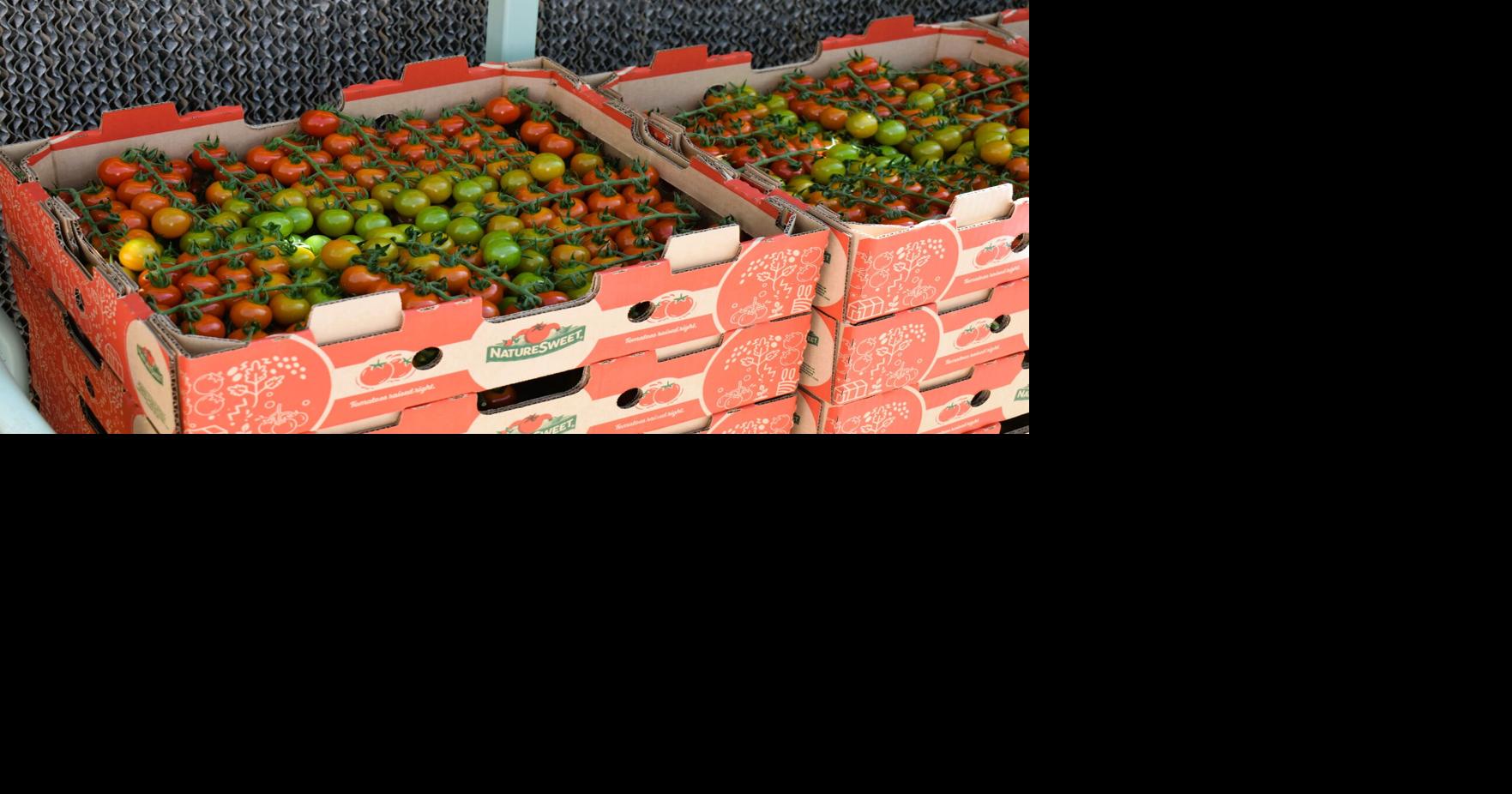 Prices expected to jump with as new tariff on Mexico-grown tomatoes ...