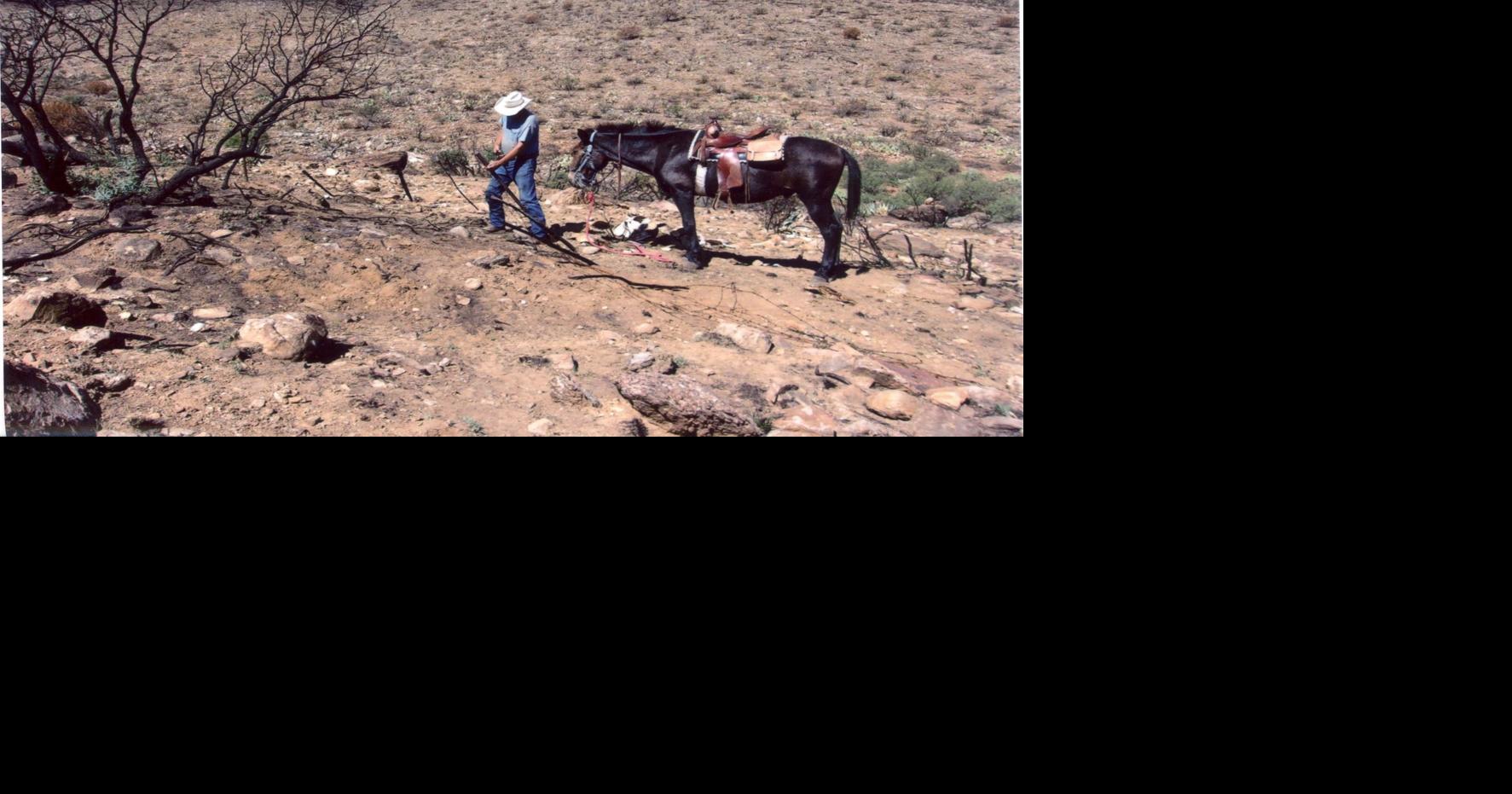 Letter to the Editor: Thatcher starts range war with Frye Mesa Ranch ...