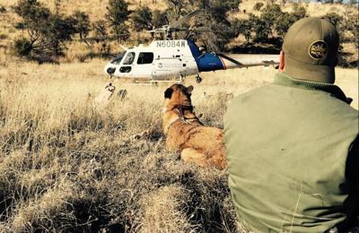 Border Patrol works to combat advanced activity | Local News Stories ...