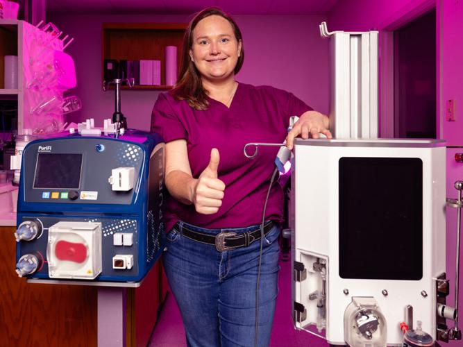 Hemoperfusion brings new hope for septic horses | Complimentary ...