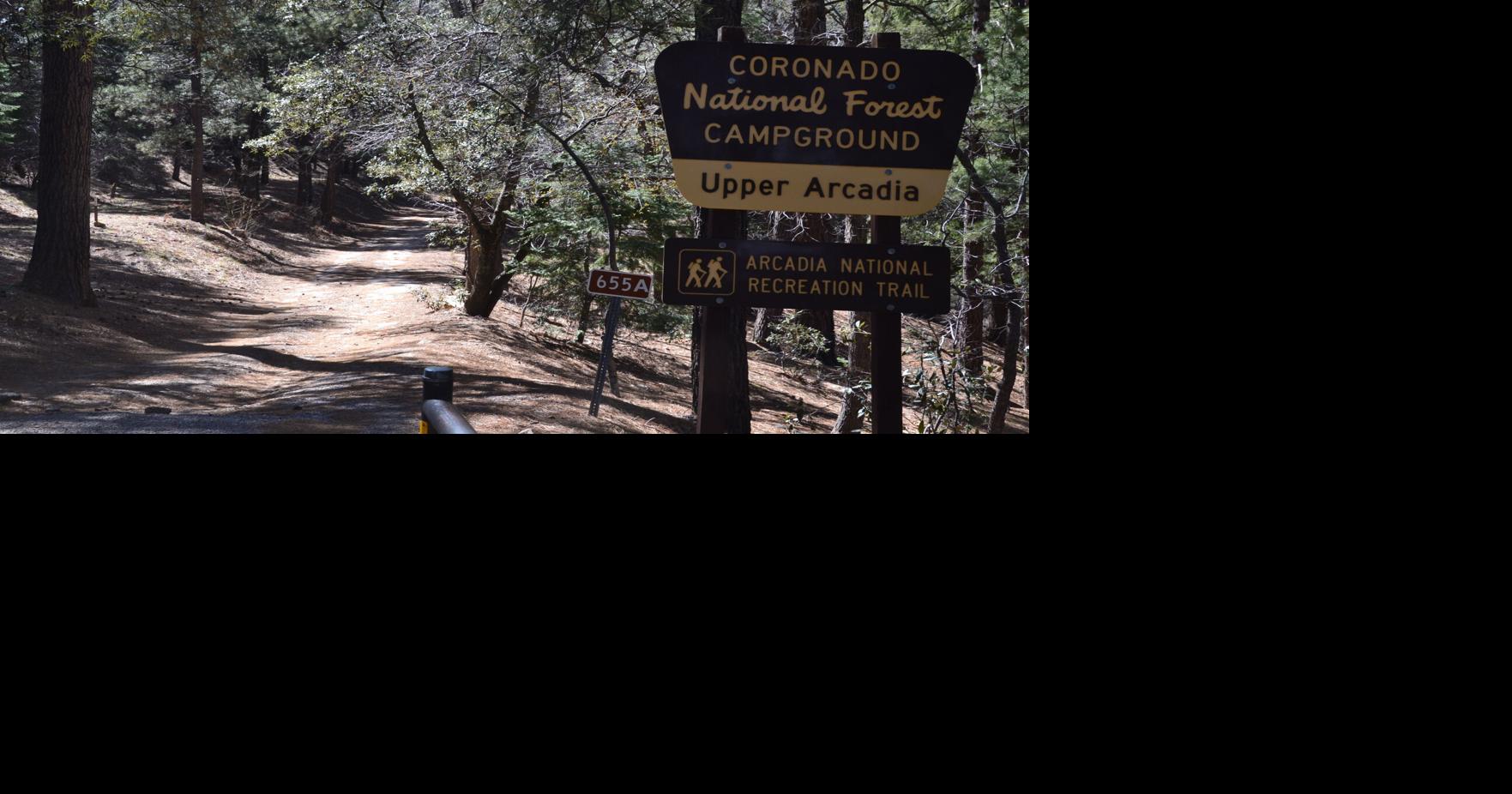 Arcadia campgrounds remain a natural rest stop on Mount Graham | Middle ...