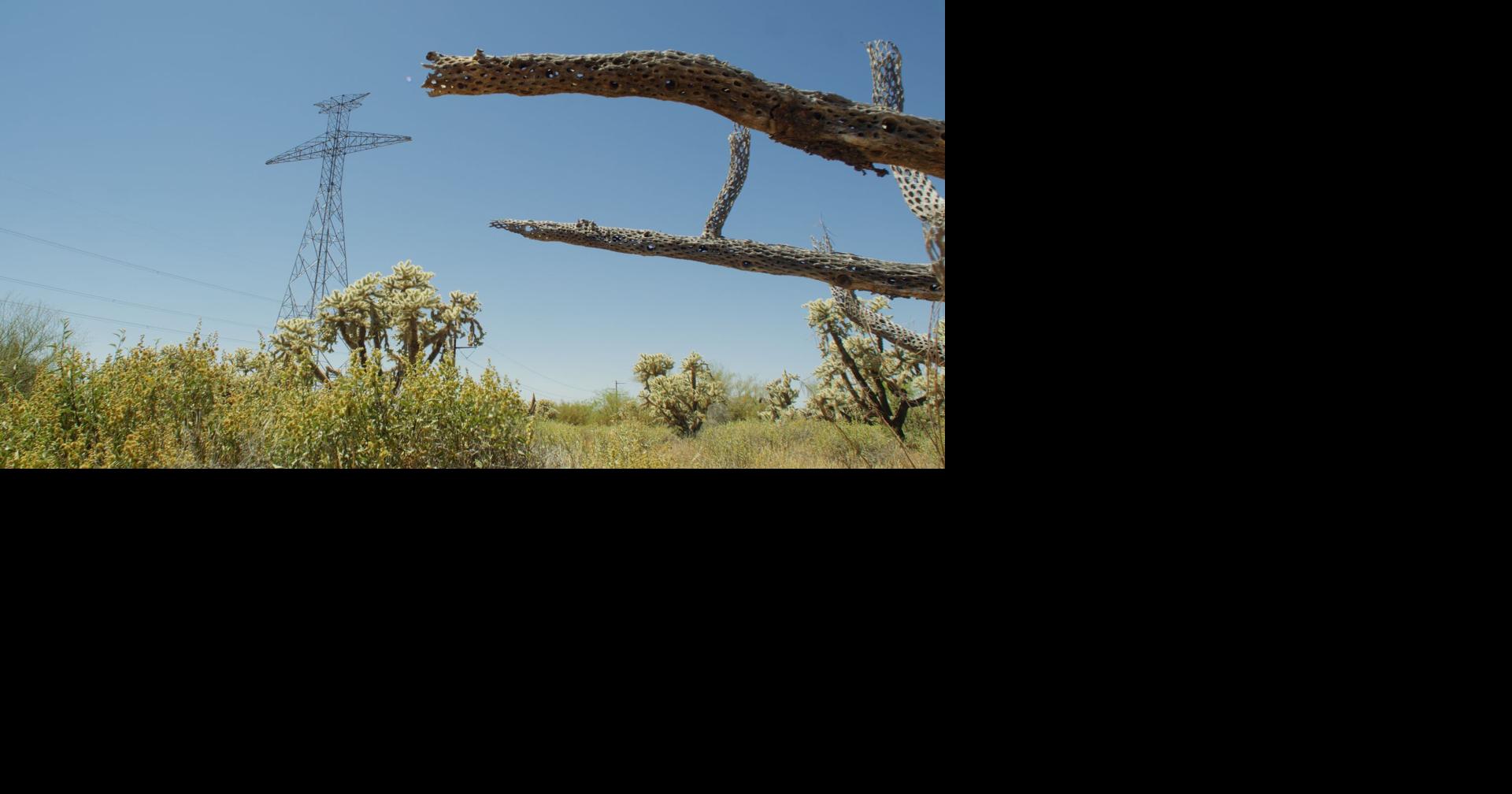 Work on SunZia project moving ahead of schedule | Local News ...