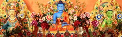 Thekchen Choling to host pet blessing and Saka Dawa Festival June 13-14 ...