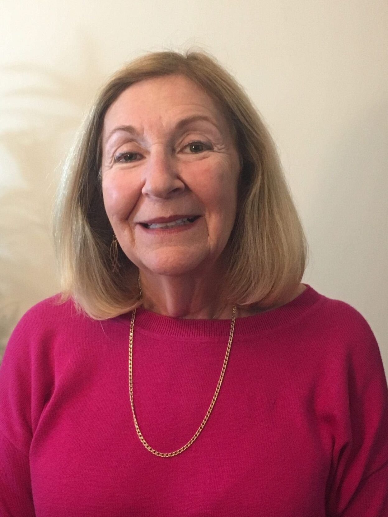 Get to know your Manlius Town Supervisor candidates | Eagle Bulletin ...