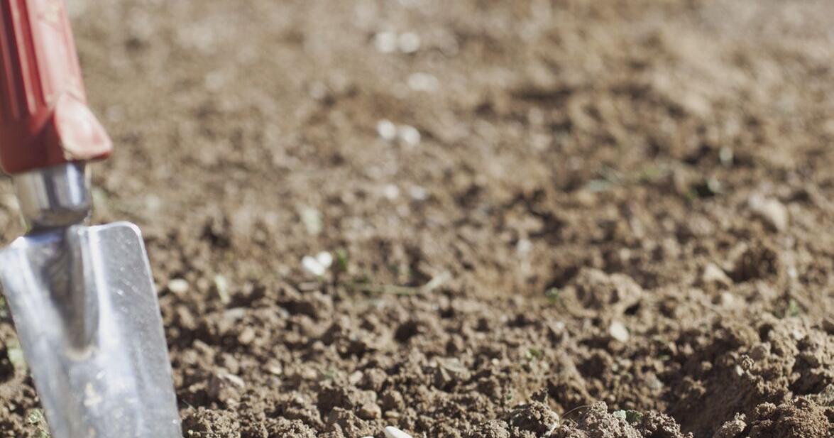 What to know about reseeding or replanting your lawn | | eagletribune.com