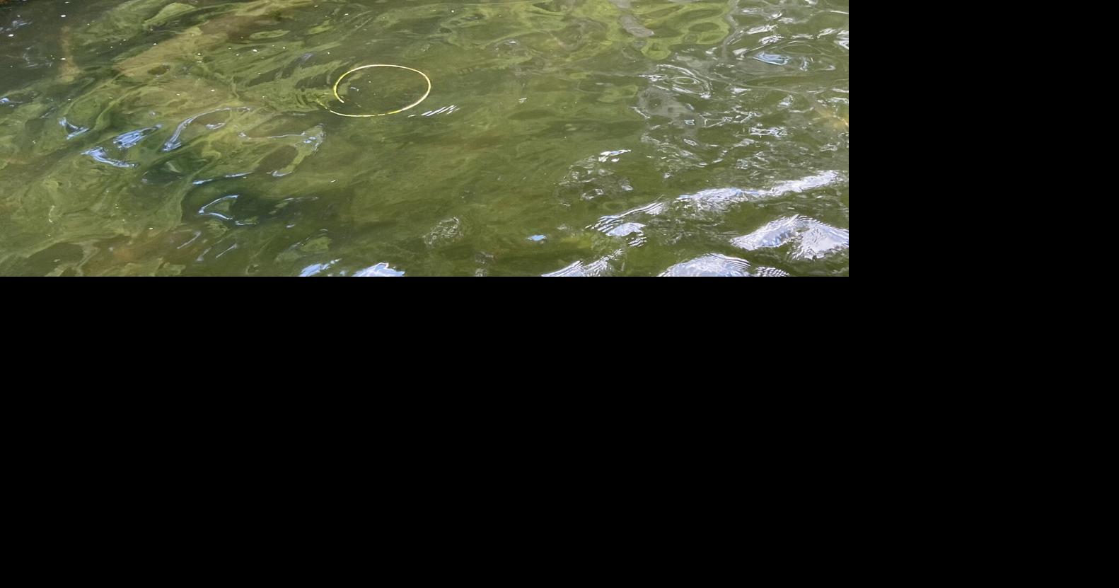 Clean River Project marks 18 years on the mighty Merrimack ...