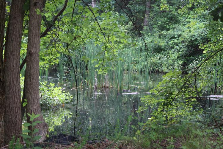 Methuen Rail Trail faces the weather | News | eagletribune.com