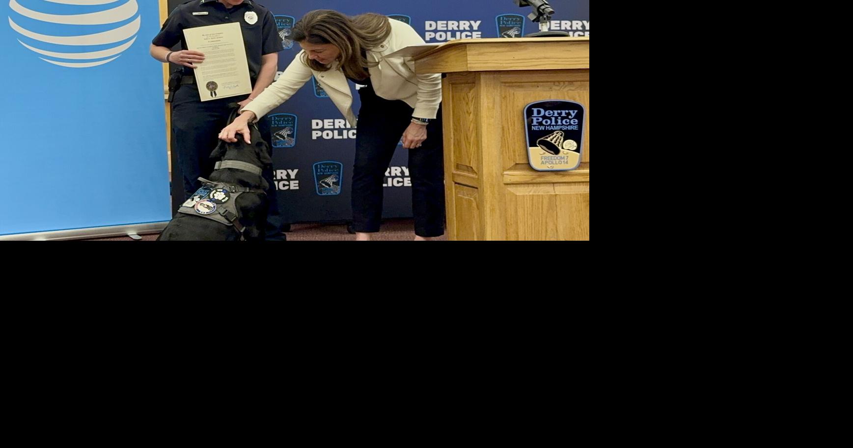 Bear is on the beat: Derry PD comfort dog sworn-in at Town Hall ...